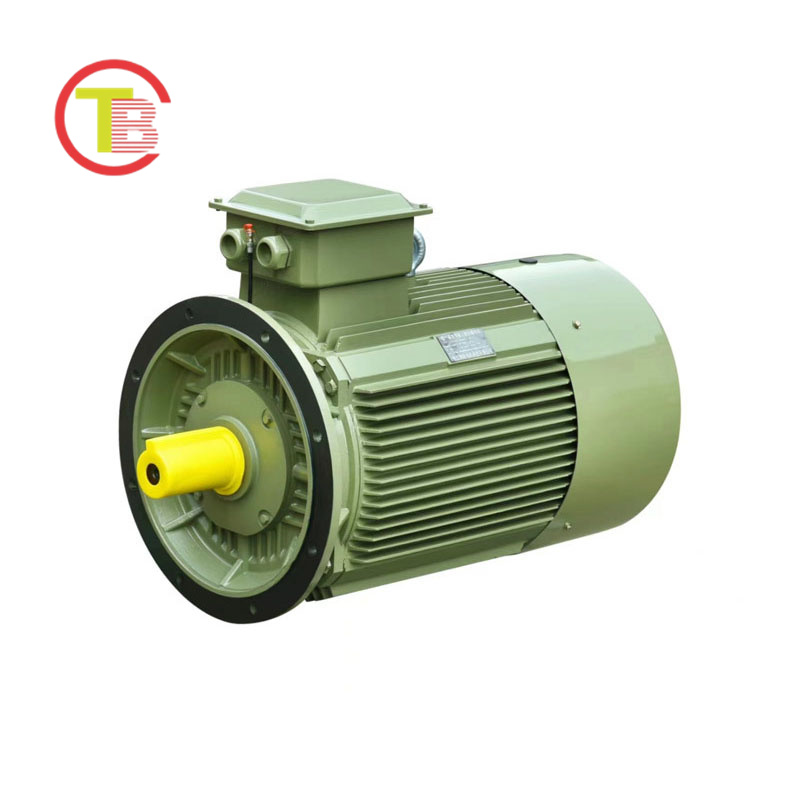 Permanent magnet synchronous motor TYC – Zheng Zhou ChitaiBo technology ...